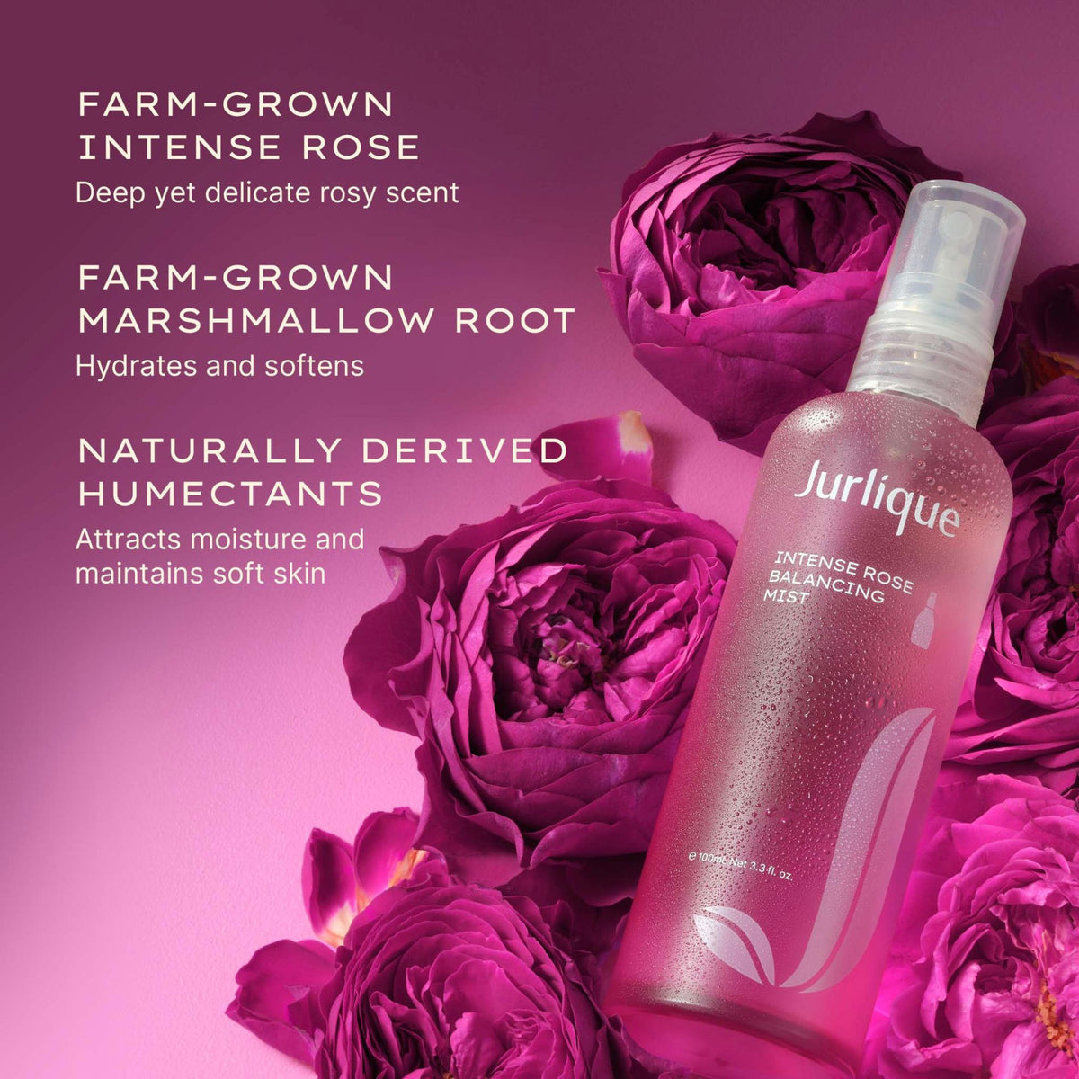 Jurlique Natural Skin Care | Intense Rose Balancing Face Mist – Jurlique US