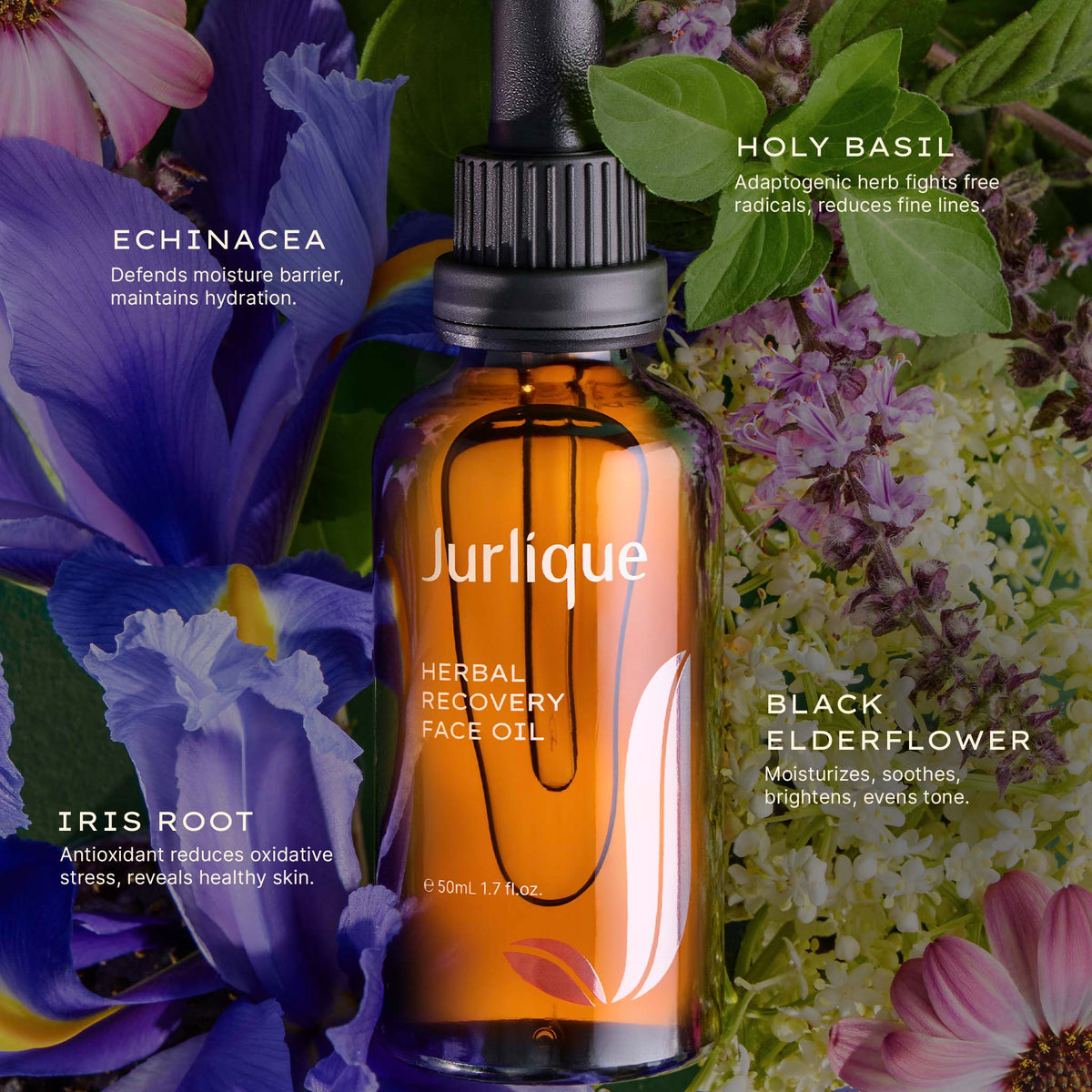 Jurlique Skin Care | Herbal Recovery Face Oil – Jurlique US