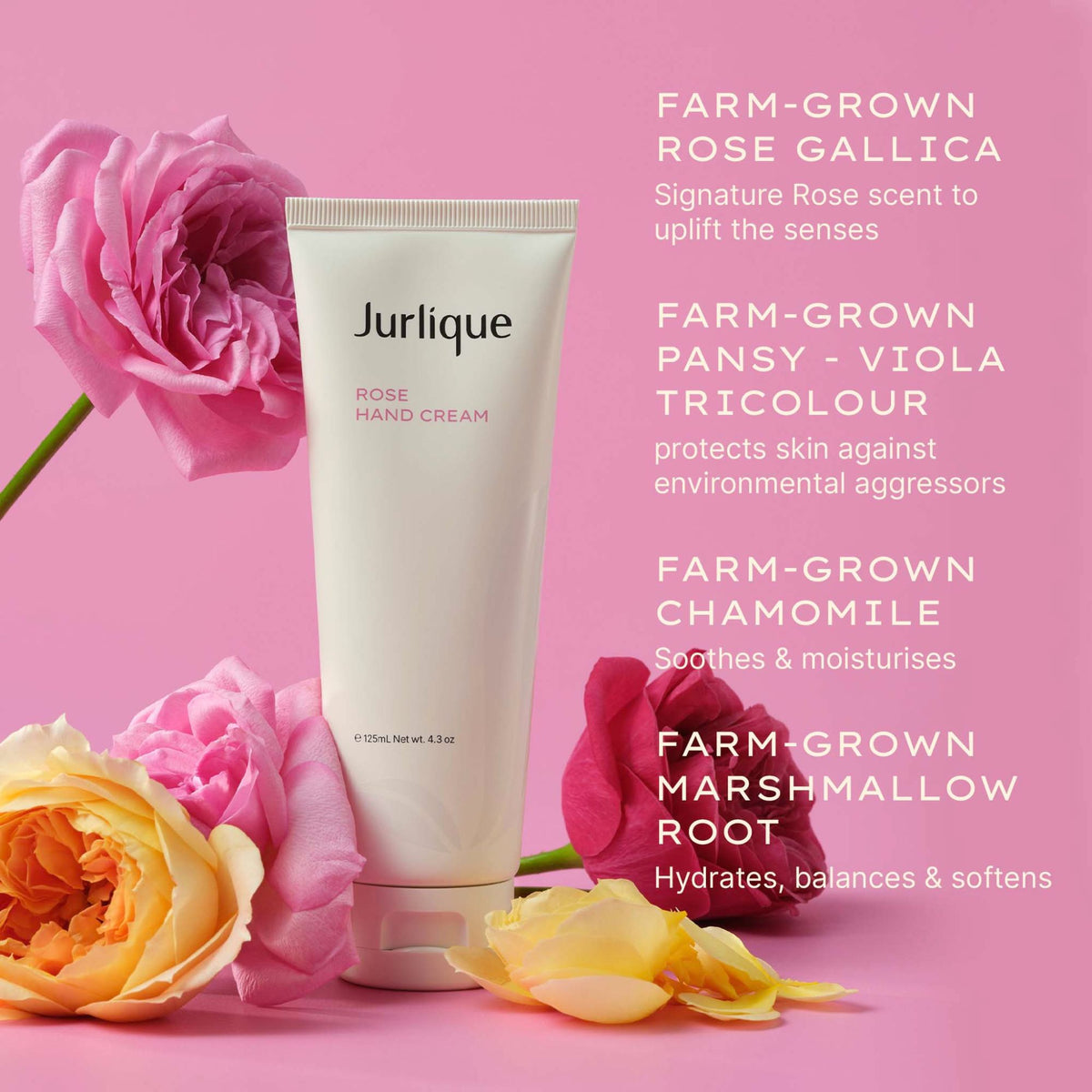 Rose Hand Cream | Jurlique Natural Skin Care – Jurlique US